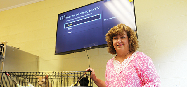 Carter County mayor’s office to be hub for ECCAS volunteers ...