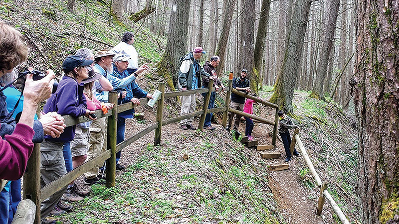 Fall Naturalists Rally around the bend in Roan Mountain | Elizabethton Star