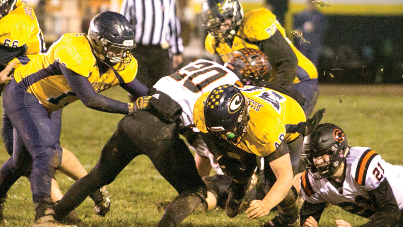 Coalfield stings Cloudland once again | Elizabethton Star