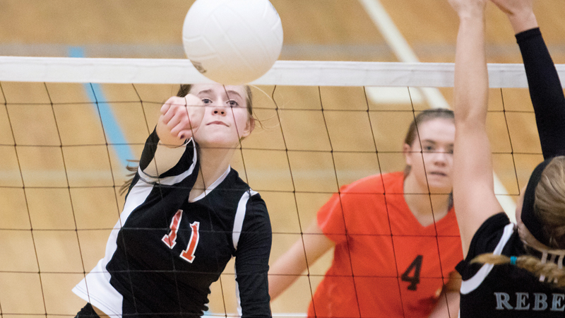 Cyclone Elementary Volleyball League set for Jan. 8 | Elizabethton Star