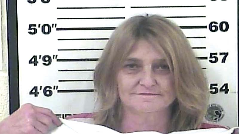 Deputies say woman shot brother during domestic dispute - www ...