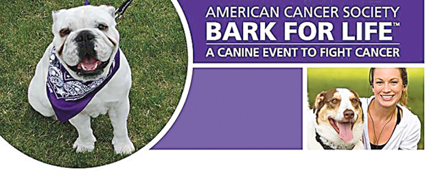 Bark For Life event honors canine caregivers - www.elizabethton.com ...