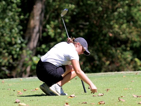 Big 11 Conference Golf... South girls, Science Hill boys take team ...
