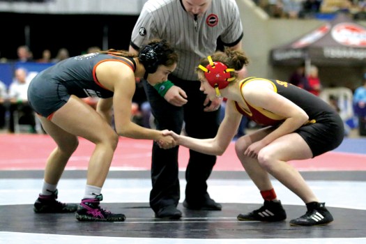 2020 TSSAA CLASS A/AA STATE CHAMPIONSHIPS DAY 1 Battling for the gold ...