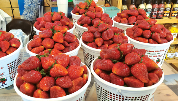 Lip-smacking delicious…Fresh strawberry freezer jam provides a tasty ...