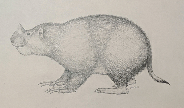 Don’t mess with this rodent: Fossil reveals a new species of ‘horned ...