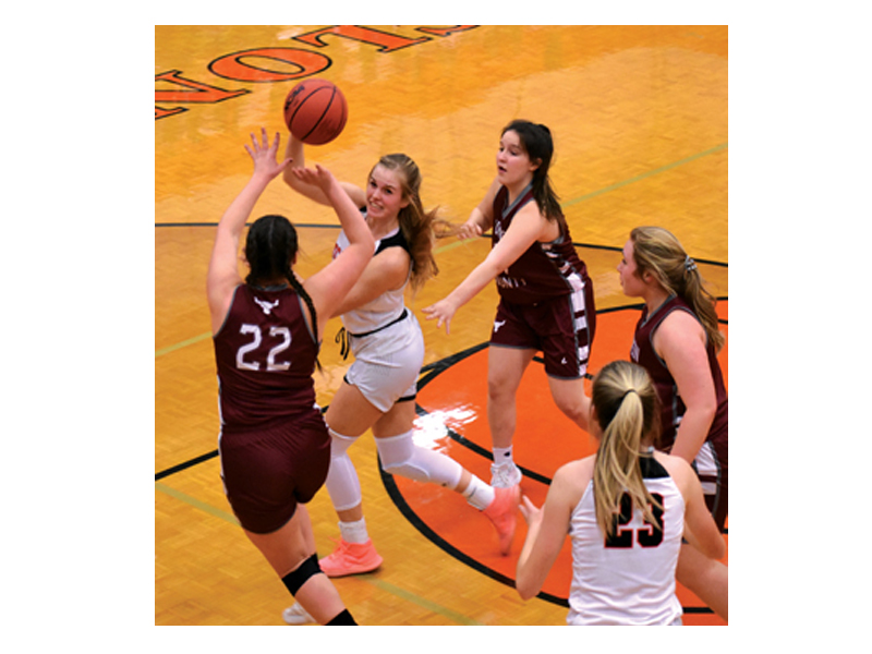 Cyclones fall in double overtime to 'Horns while Lady Cyclones romp ...