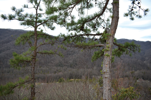 Hiking the trails… Raven Rock provides challenge for hikers of any ...