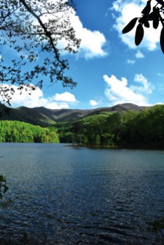 Stunning views, few camping spots dot trail from Shook Branch to ...