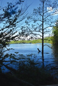 Stunning views, few camping spots dot trail from Shook Branch to ...