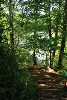 Stunning views, few camping spots dot trail from Shook Branch to ...