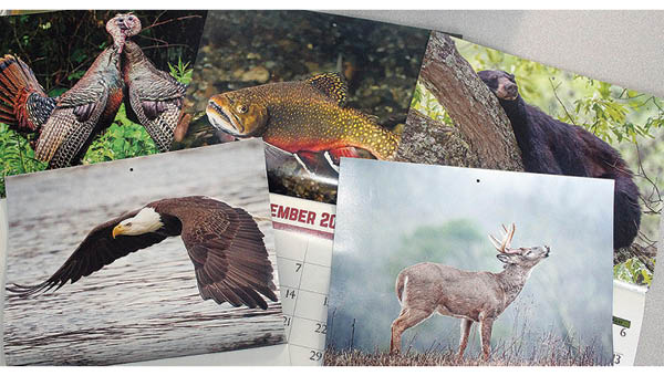 Entries being accepted for 2023 TWRA calendar photo contest - www ...