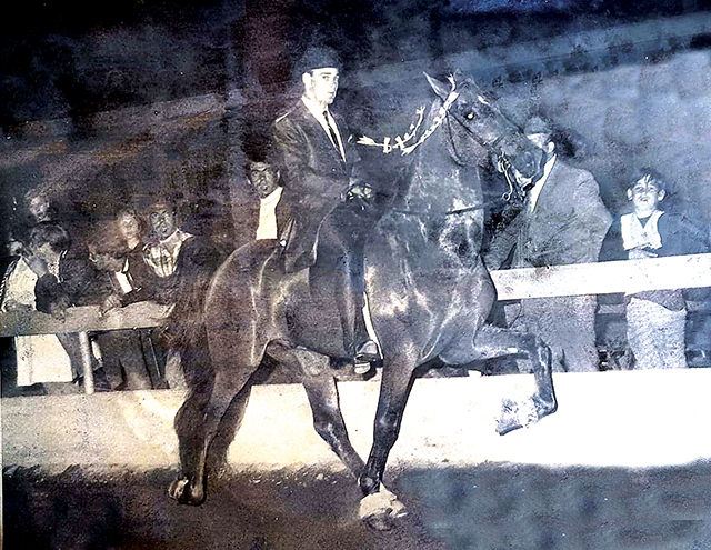 Richard Nichols trained Tennessee Walking Horses in 1960s ...