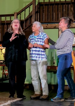 Arsenic and Old Lace rescheduled due to illness | Elizabethton Star