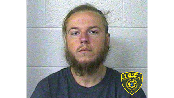 Man arrested for aggravated child abuse, vandalism and leaving scene of ...