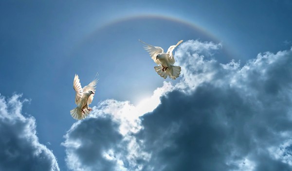 Obituaries | www.elizabethton.com