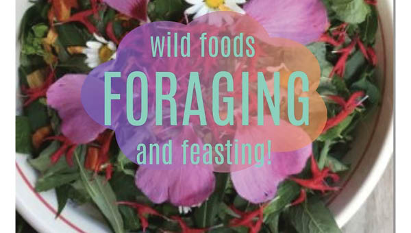 Wild foods: Foraging and feasting in Unicoi | Elizabethton Star