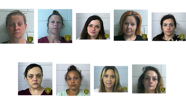 Investigation leads to introduction, conspiracy charges for 10 female ...