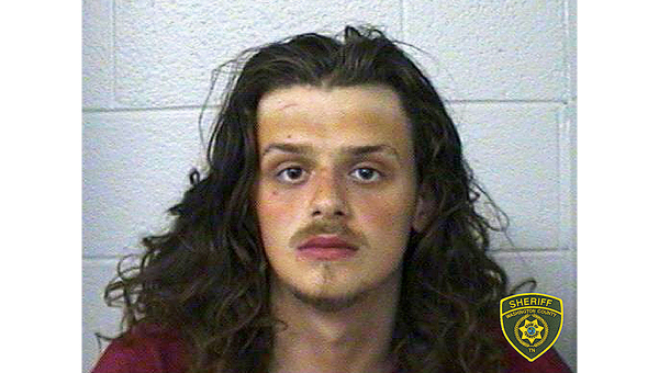 WCSO charges man with two counts of domestic aggravated assault ...