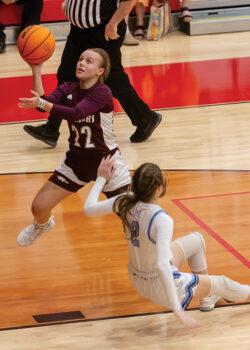 Hampton advances to District Final; second half surge overpowers Lady ...