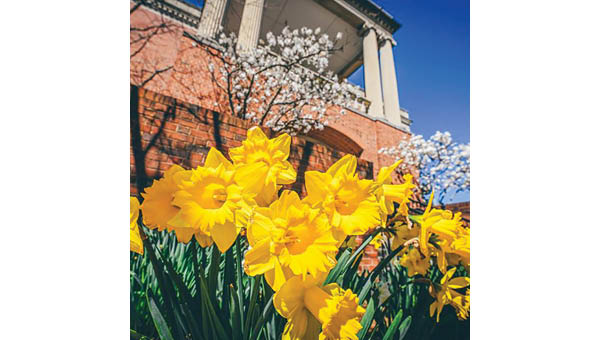 Ditch the coat, ETSU predicts warmer-than-normal spring | Elizabethton Star