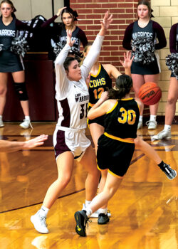 Chuckey-Doak sweeps Happy Valley in conference play - www.elizabethton ...